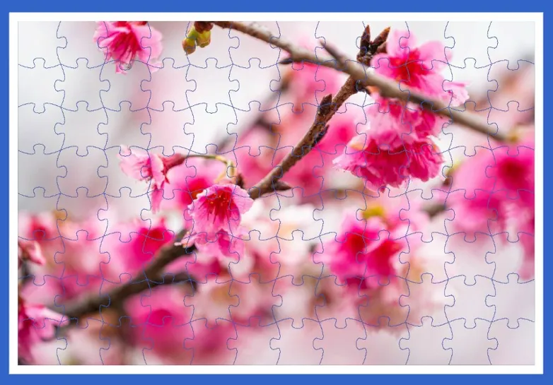 Create a Jigsaw Puzzle Game in Unity - Page 4 of 5 - Faramira